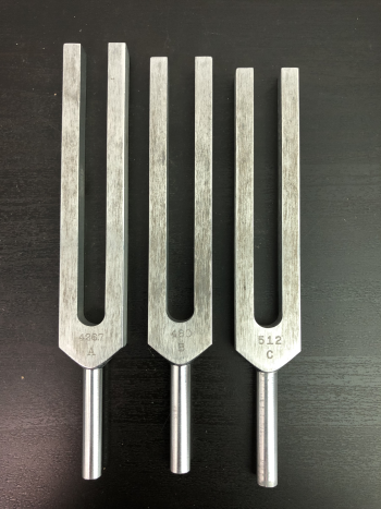 20. Sound – Conceptual Physics