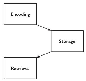 Memory – Introduction to Psychology, 4th Edition