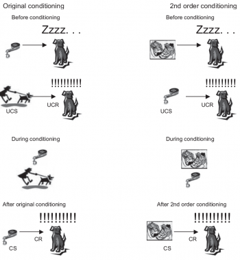 Module 6: Learning and Conditioning – Introduction to Psychology, 2nd ...